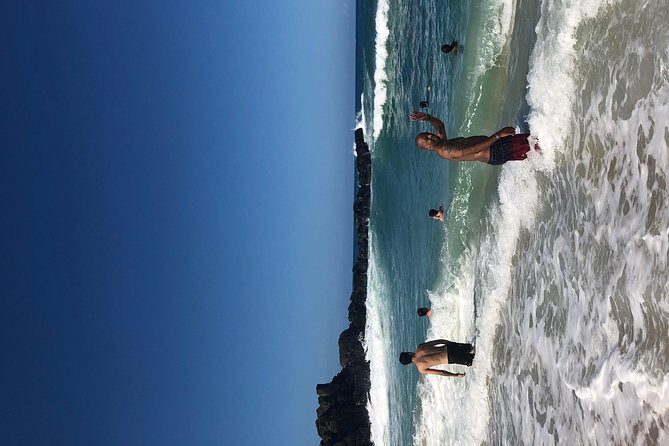 Surf and SeaTurtles Oahu Tour - Who Will Appreciate This Tour?