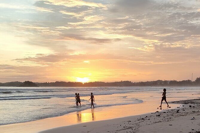 Surf Camp in Weligama Beach Sri Lanka - Introduction: Why This Surf Camp Stands Out