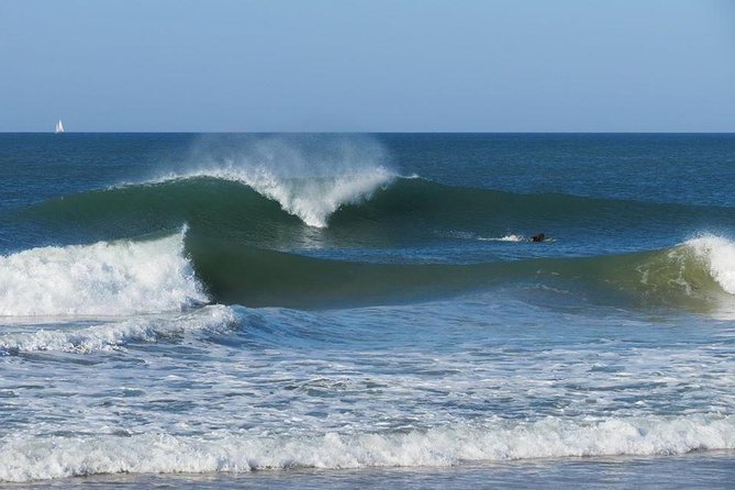 Surf Dream - Final Thoughts: Is Surf Dream Worth It?