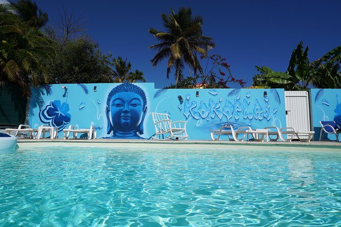 Surf lessons 1h30 (4-6 people) Kokoplaj Surf camp Guadeloupe school - Who Would Love This Experience?