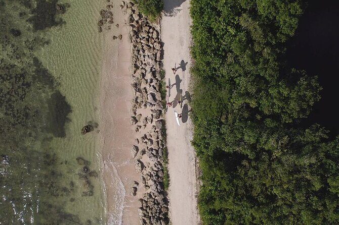 Surf lessons Guadeloupe beginners intermediate confirmed - The Value Proposition