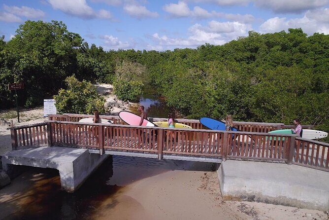 Surf lessons Guadeloupe beginners intermediate confirmed - Why You Should Consider This Experience