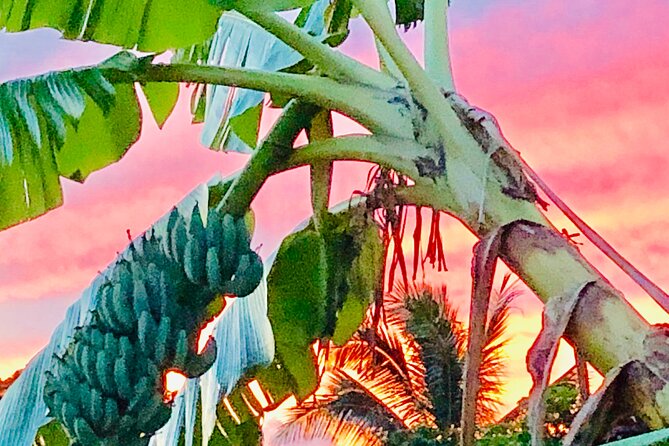 Surf Lessons on the North Shore of Oahu - Authentic, Fun, and Memorable