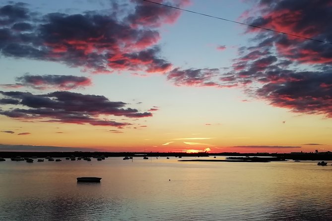 Surf & Sup - Authentic Feedback from Travelers