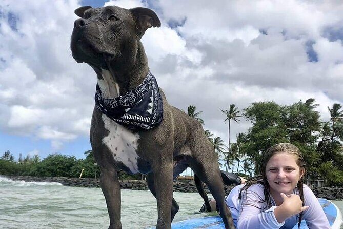 Surf with a Service Animal - The Itinerary: What to Expect from Start to Finish