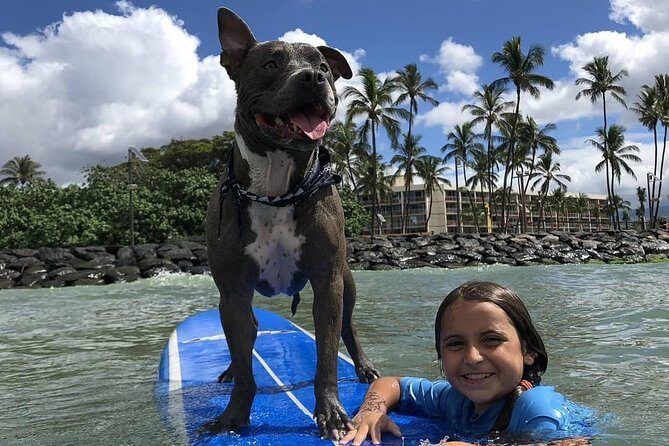Surf with a Service Animal - The Location: Ukumehame Beach Park