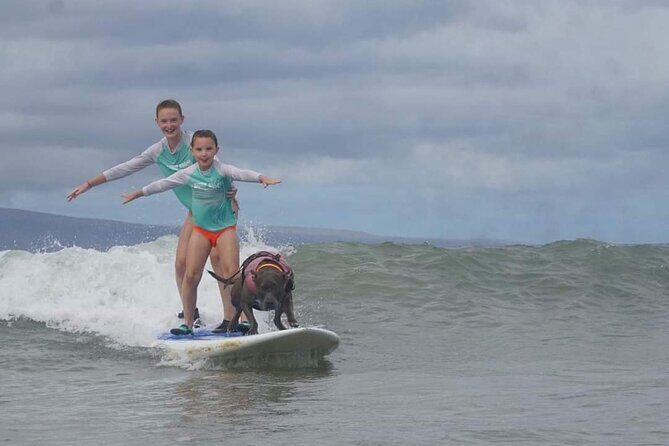 Surf with a Service Animal - Real Traveler Experiences