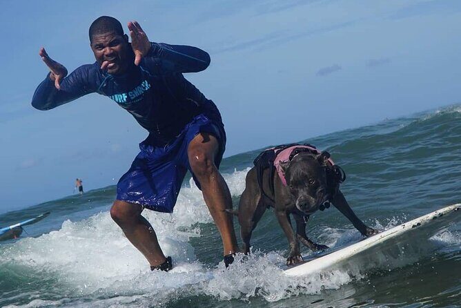 Surf with a Service Animal - Who Should Book This Tour?