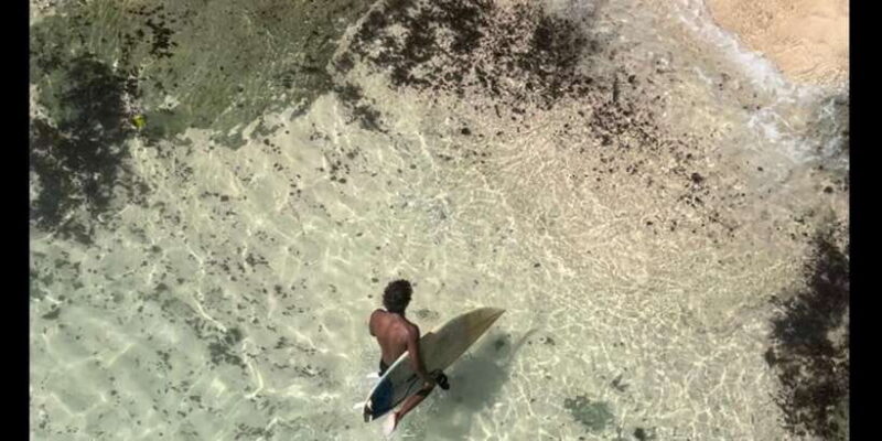 SURFA BALI curated surf lesson + trip to spots (Beg. & Int.) - Key Points