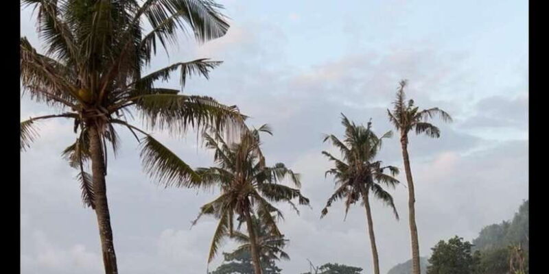 SURFA BALI curated surf lesson + trip to spots (Beg. & Int.) - Frequently Asked Questions