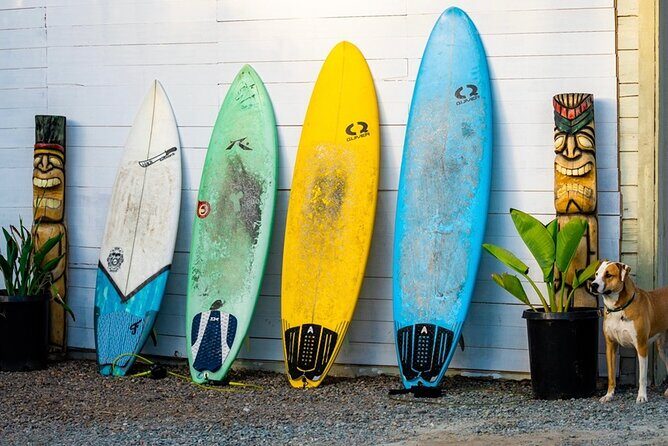Surfboard Rental All Day Solana Beach Fletchers Cove - Why Choose This Surfboard Rental?