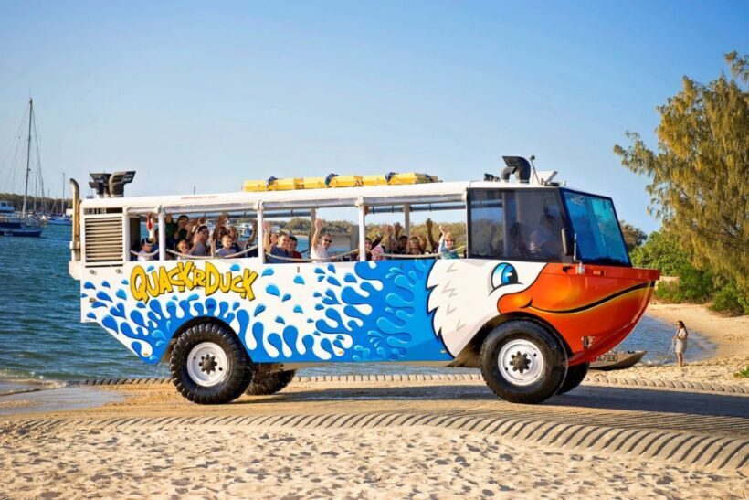 Surfers Paradise: Guided Gold Coast Amphibious Bus Tour - Key Points