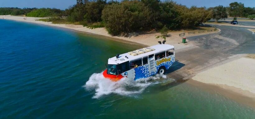 Surfers Paradise: Guided Gold Coast Amphibious Bus Tour - An In-Depth Look at the Amphibious Adventure