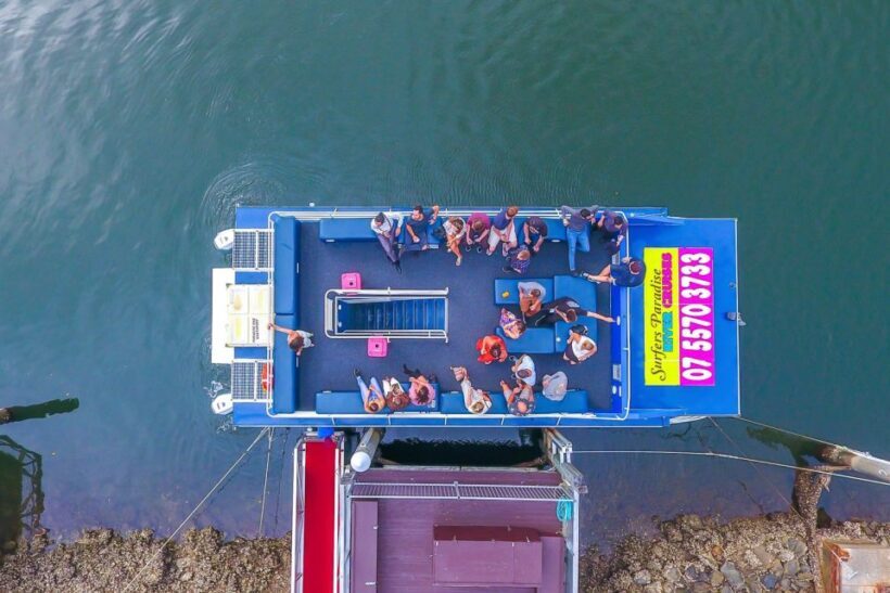 Surfers Paradise: Sightseeing Morning River and Canal Cruise - Who Should Consider This Tour