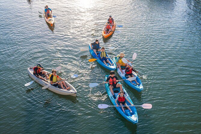 Surfers Paradise Sunset Kayak Tour - What the Reviews Say