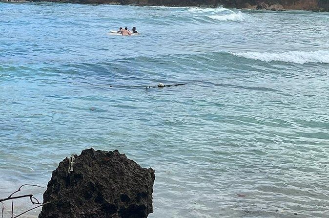 Surfing and Motorized Canoeing Private Tour in Jamaica - Authenticity and Traveler Insights