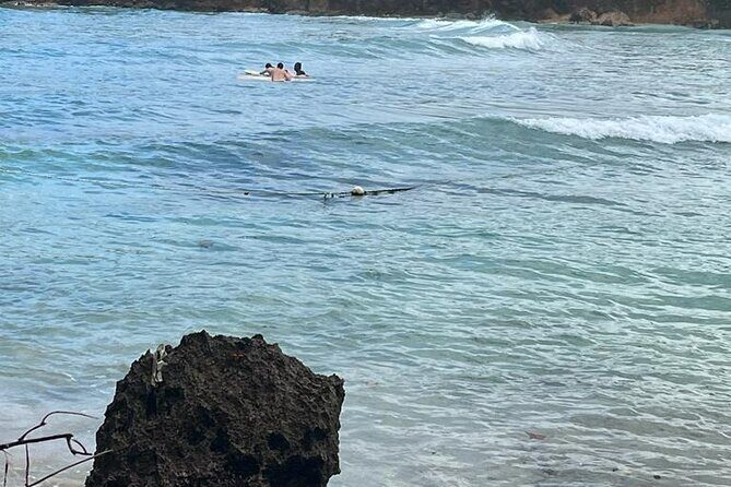 Surfing and Motorized Canoeing Private Tour in Jamaica - FAQs