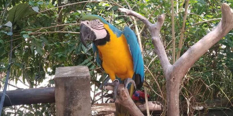 surfing lesson class - What You’ll Learn