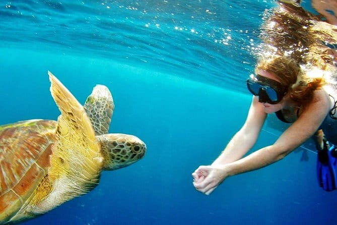 Surin Island Snorkeling by Speedboat from Khao Lak - Value and Pricing: Is It Worth It?