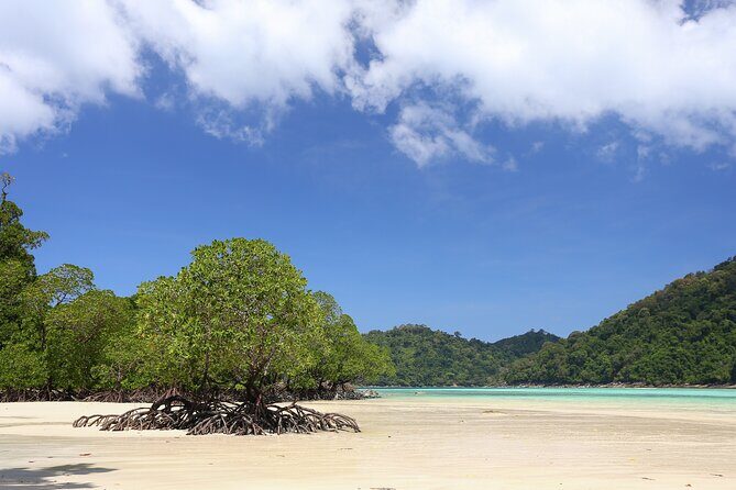 Surin Islands 2 Days 1 Night Trip from Khao Lak - Who Will Love This Tour?
