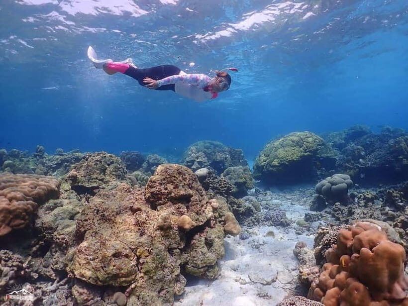 Surin Islands: Diving Day Trip from Khao Lak - FAQ