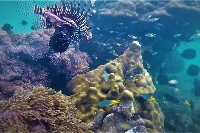 Surin Islands Overnight Beach Camping and Snorkeling Adventure - FAQ - Your Practical Questions Answered