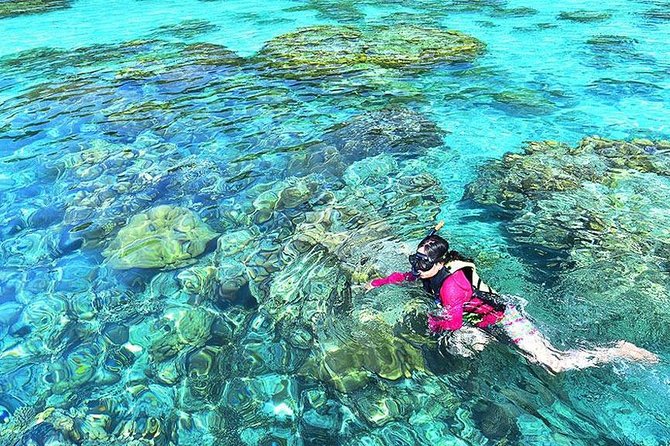 Surin Islands Snorkeling Day Trip By Love Andaman From Khao Lak - Final Thoughts: Who Should Consider This Tour?