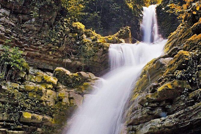 Surrealist Garden of Edward James, Castle of Health and Xilitla Nativity - The Itinerary in Detail: What You Can Expect