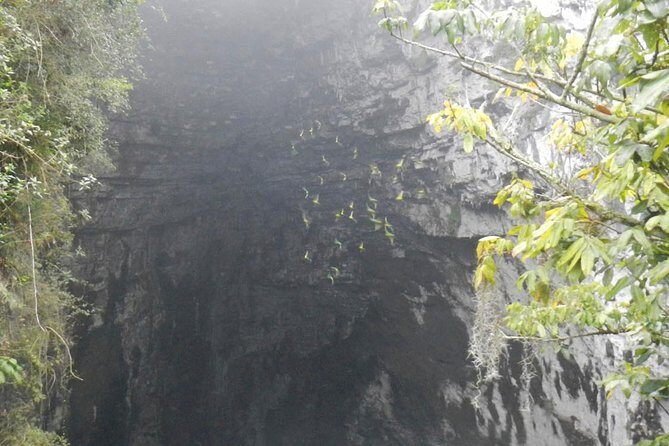 Surrealist Garden Tour in Xilitla and Sotano de las Huahuas - The Transportation and Group Size