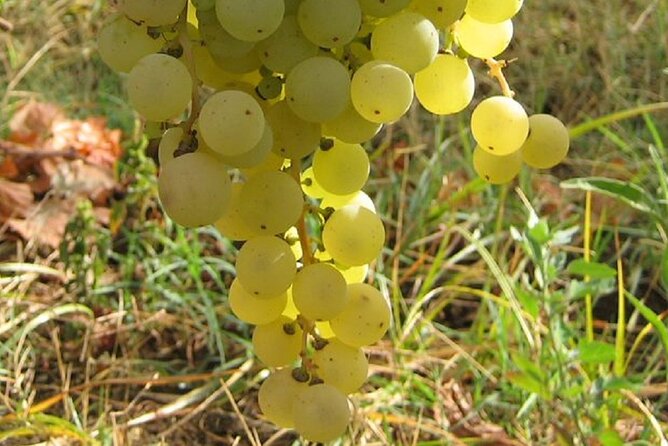 Surroundings of Rome on Vespa - Safety and Requirements