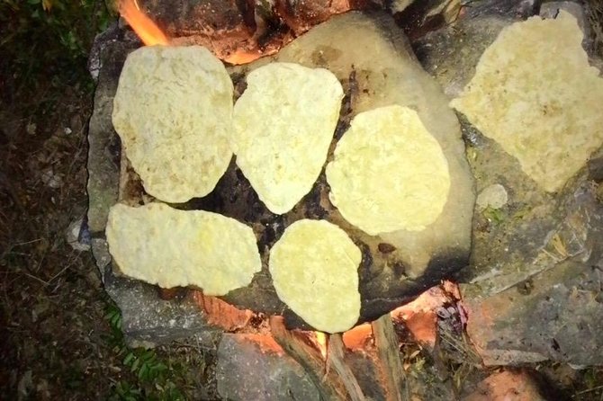 Survival and Bushcraft Courses - Introduction