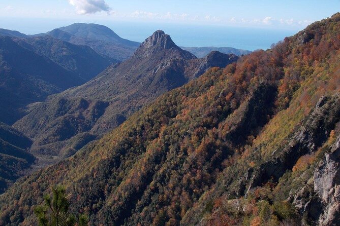 Survival and Bushcraft Courses - Why This Course Is Worth It