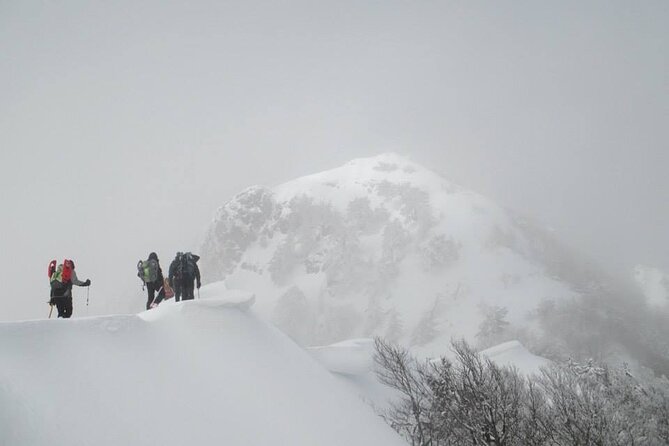 Survival and Bushcraft Courses - The Sum Up