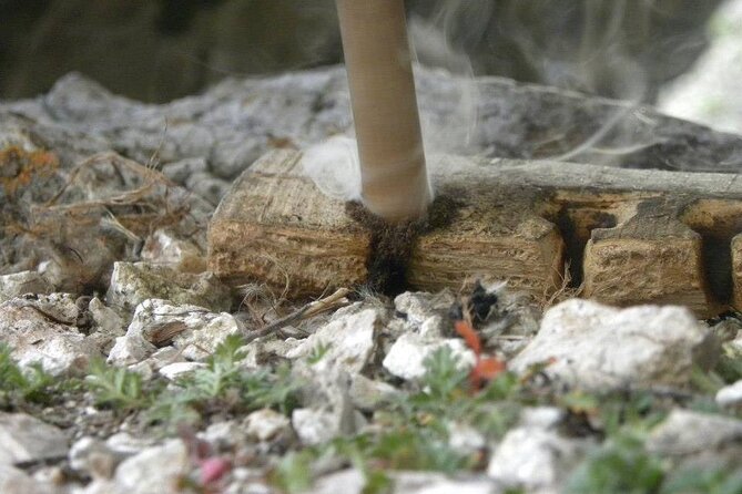 Survival and Bushcraft Courses - FAQ