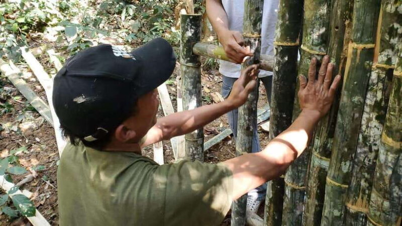 Survival course in the primary forest near Luang Prabang. - FAQ