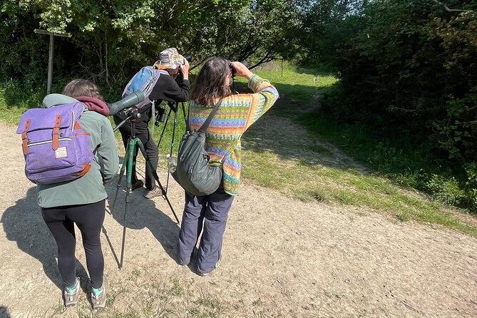 Sussex Birdwatching Private Guided Day Tour - Who Should Consider This Tour?