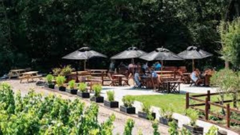 Sussex Vineyard Tour by Minibus - pick up and drop off - The Sum Up