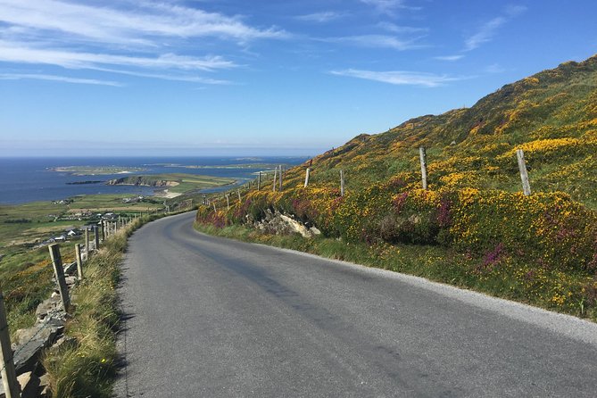 Sustainable Connemara and Galway Bay Rail Tour From Dublin - Coastal Charms: Clifden and Roundstone