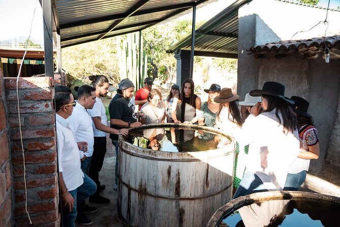 Sustainable Mezcal Adventure Food and Education Tour - What Past Participants Say