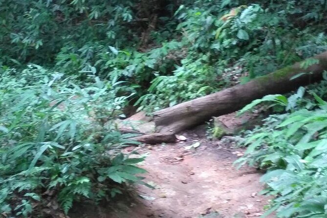 Suthep Temple and Monthathan Waterfall Adventure Trail From Chiang Mai - Key Points