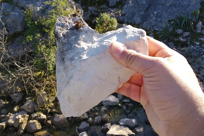 SUV Tour Serras De Aire and Candeeiros - Pickup and Meeting Details