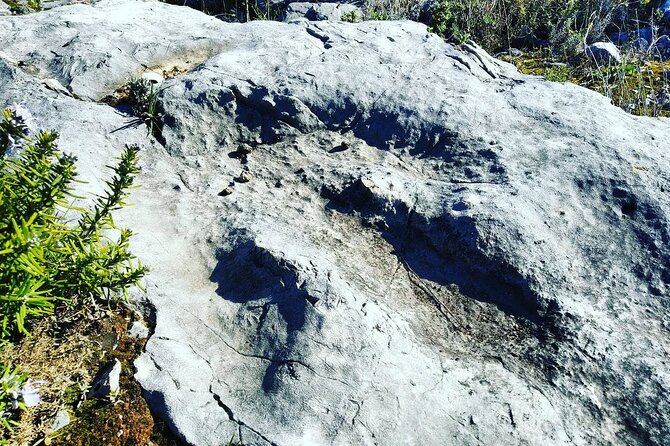 SUV Tour Serras De Aire and Candeeiros - Additional Information