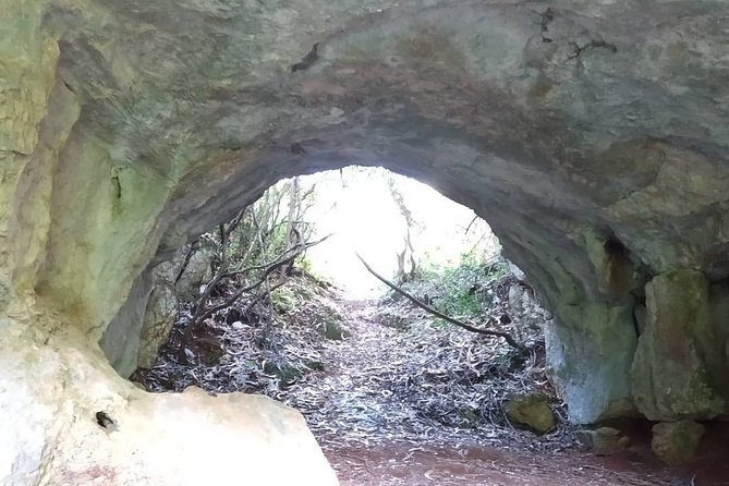 SUV Tour Serras De Aire and Candeeiros - Reasons to Book This Tour