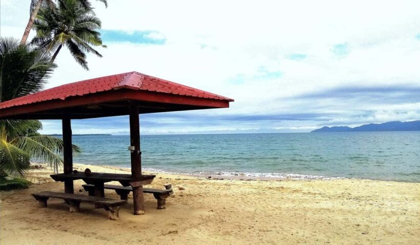Suva Cruise Ship Tour - Value and Pricing: Is It Worth It?