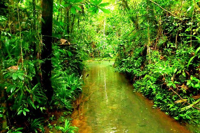 Suva Customized tour- Private - The Sum Up: Is It Worth It?