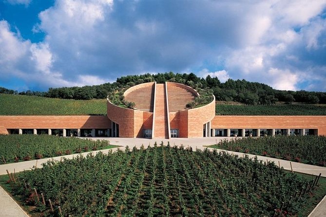 Suvereto Wine Experience PRIVATE TOUR from SIENA - An In-Depth Look at the Tour