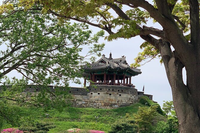 Suwon Hwaseong Fortress Food Walking Tour, KTourTOP10 - A Detailed Look at the Tour Experience