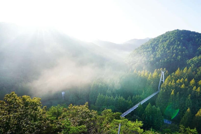 Suwon Hwaseong Fortress & Jangtaesan Tour: Autumn Leaves - The Sum Up: Who Will Love This Tour?