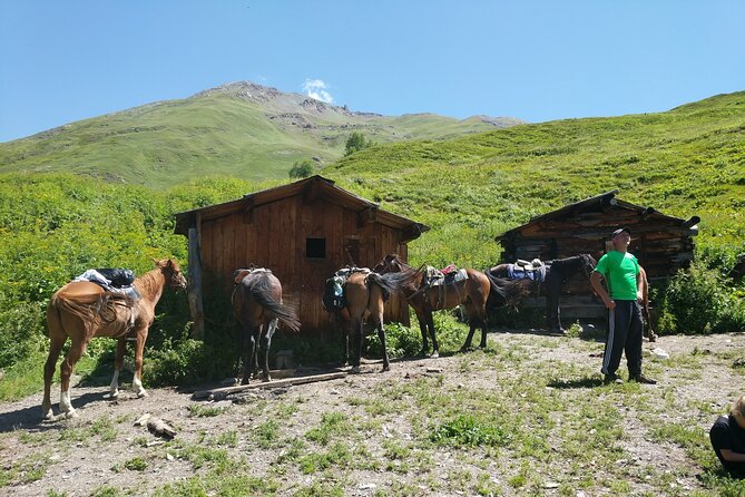 Svaneti Mountain Villages 4x4 Safari, Tour From Kutaisi - Engagement With the Tour Guide