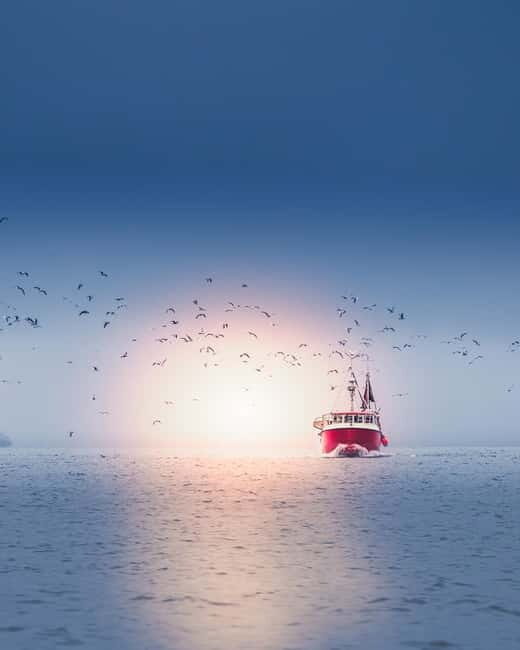 Svolvær and Henningsvær Sightseeing and History Tour - Who Will Love This Tour?